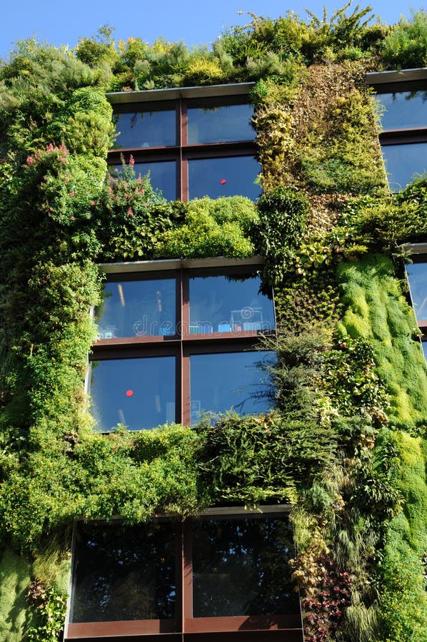 Pared verde imagen de archivo. Imagen de cubierto, verde - 22295677