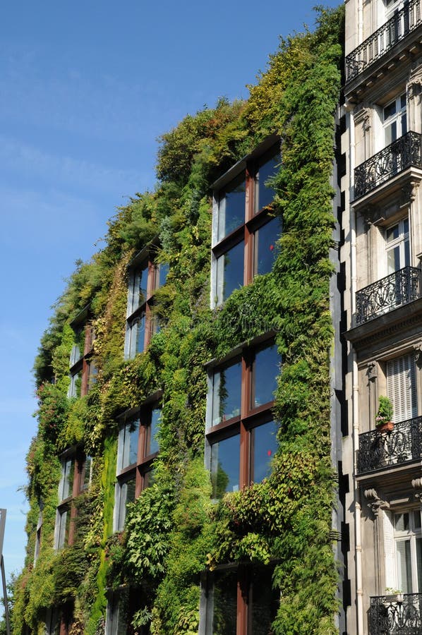 Pared verde imagen de archivo. Imagen de cubierto, verde - 22295677
