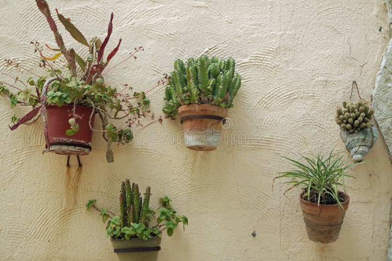 Parede podre e plantas foto de stock. Imagem de alvenaria - 73761822