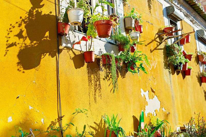 Parede Tradicional De Lisboa Imagem de Stock - Imagem de projeto ...