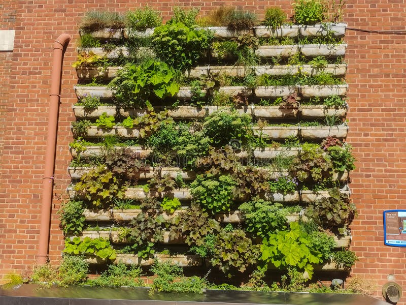 Paredes verdes imagen editorial. Imagen de verde, yourself - 127299910