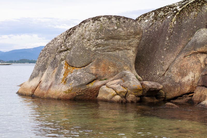 Pareidolia. Stone Beluga Figure Sleeping on the Beach Stock Photo ...