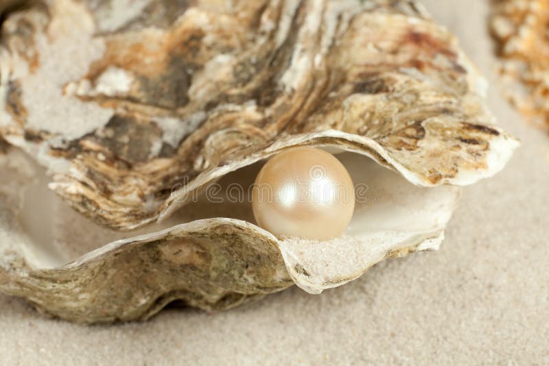 Parel in oester stock foto. Afbeelding bestaande uit zand - 14277592