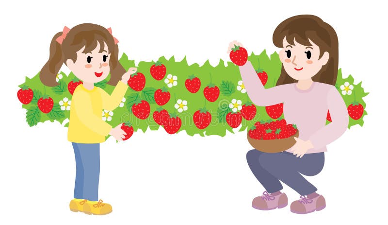 Strawberry Picking Stock Illustrations – 232 Strawberry Picking Stock ...