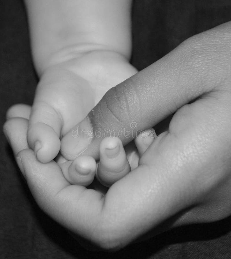 Parent and child hand. stock image. Image of hand, bond - 28001165