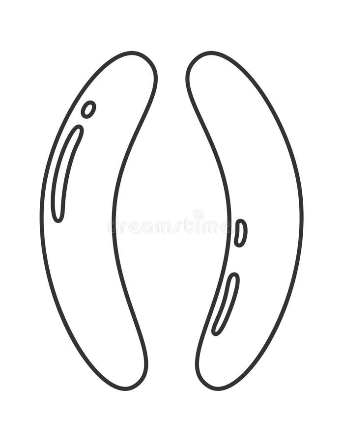 Parenthesis Bracket Symbol stock vector. Illustration of design - 276209544