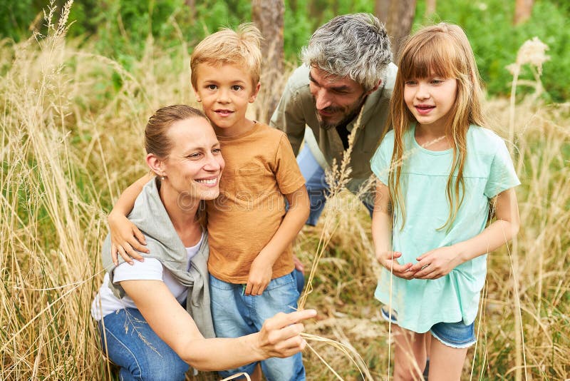 Parents Exploring Forest with Kids during Summer Vacation Stock Photo ...
