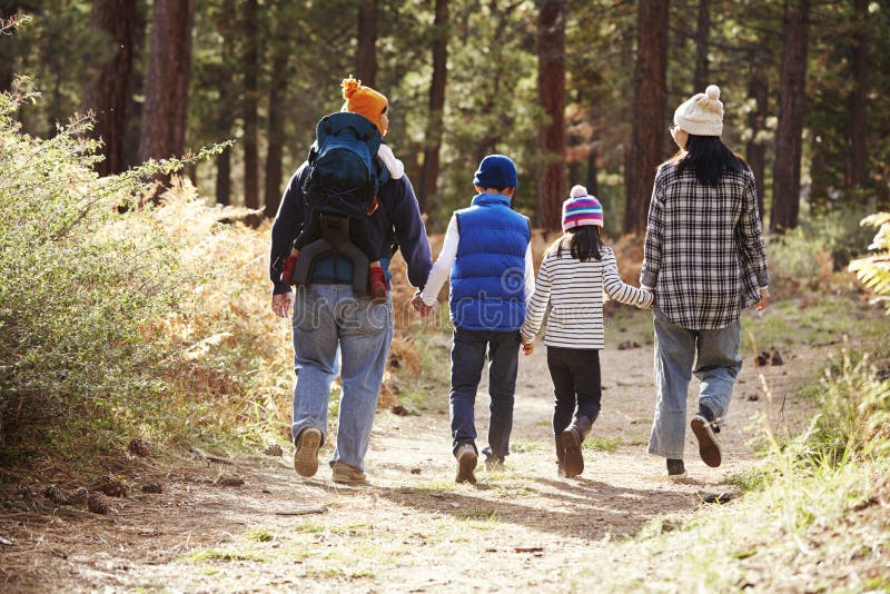 Parents and Three Children Walking in a Forest, Back View Stock Image ...