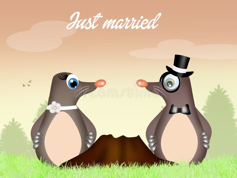 Pares de los topos stock de ilustración. Ilustración de adorable - 54239572