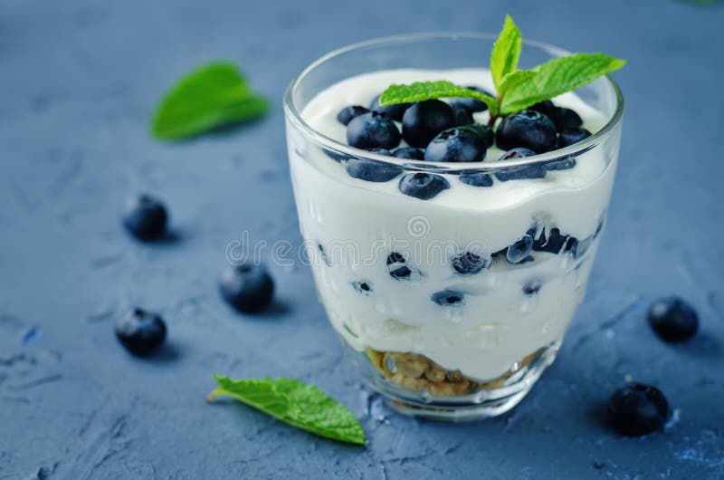Parfait Van De Bosbessen Het Griekse Yoghurt Stock Foto - Image of ...