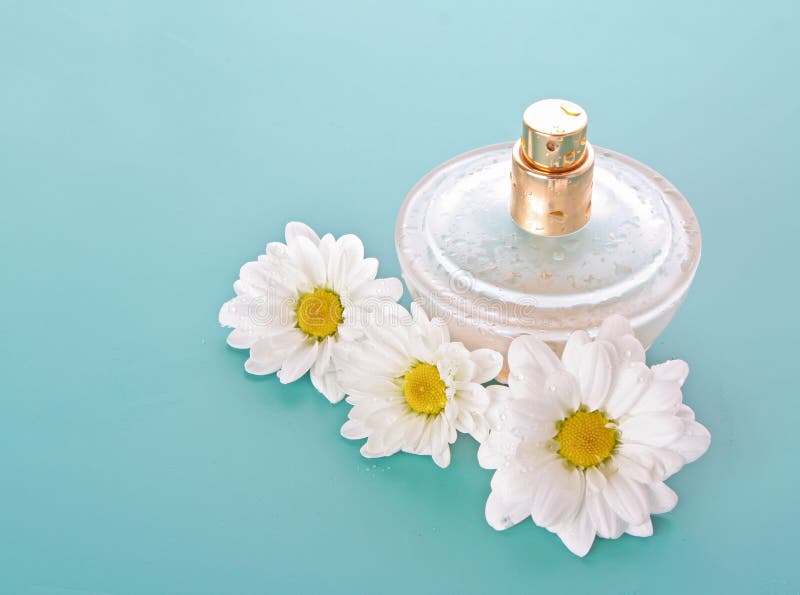 Bouteilles De Parfum Normales Image stock - Image du cosmetics, mémoire ...