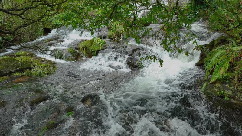 Parga River Flowing Over Rocks in Tropical Jungle in Spain. Slow Motion ...