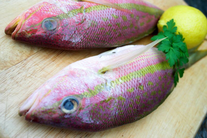Pargo rojo imagen de archivo. Imagen de fresco, alimento - 247765