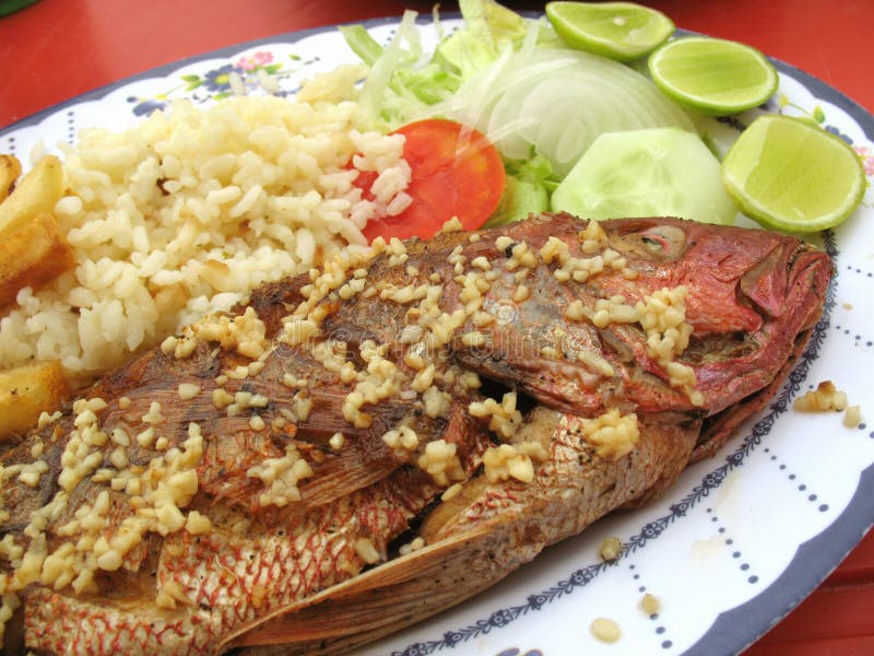 Pargo rojo del ajo imagen de archivo. Imagen de cena, cebollas - 2900943