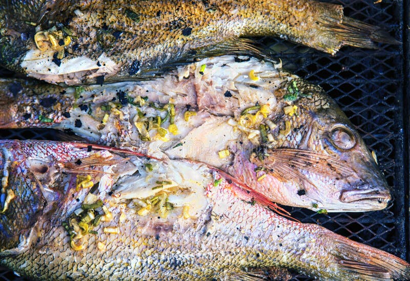 Pargo Rojo Fresco En La Parrilla Foto de archivo - Imagen de travieso ...