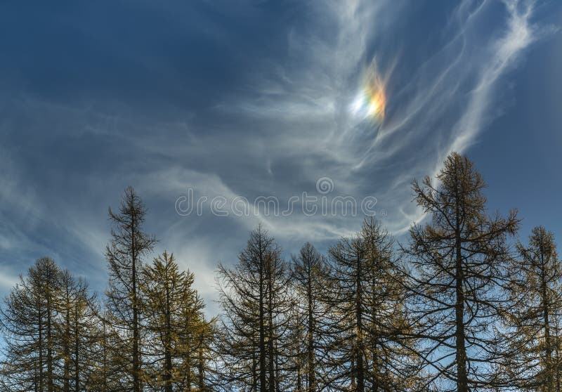 Parhelion in the Autumn Sky Stock Photo - Image of forest, phenomenon ...