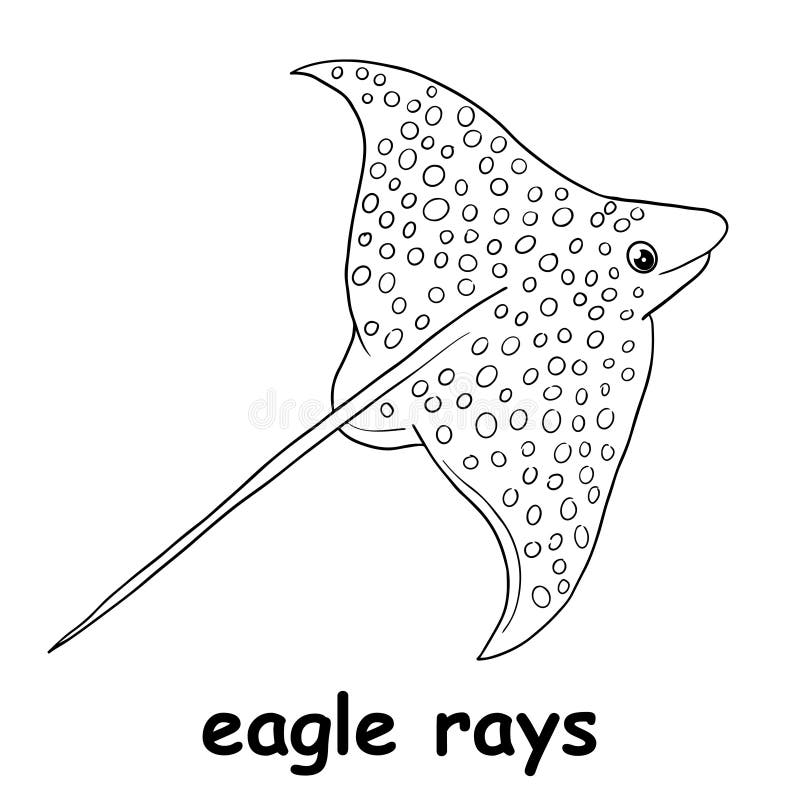 Kids Line Illustration Coloring Eagle Rays. Outline Vector for Children ...