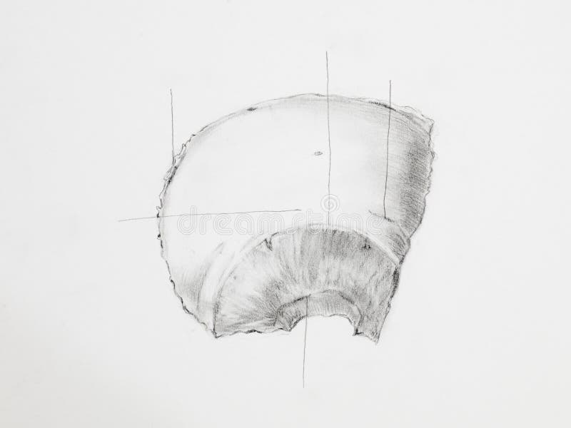 Parietal Bones Pencil Drawing Stock Image - Image of tuberosity, skull ...