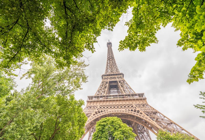 Paris. Beautiful Tour Eiffel Surrounded and Framed by Green Tree Stock ...