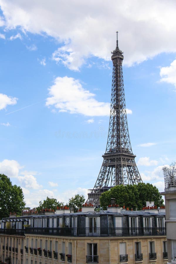 Paris in the city stock image. Image of land, birds - 109743703