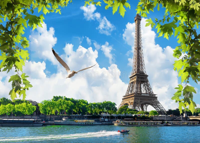Paris in day stock photo. Image of bridge, seagull, construction ...