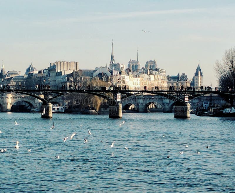 Paris E O Rio Seine Paris France Foto de Stock - Imagem de doca, marco ...