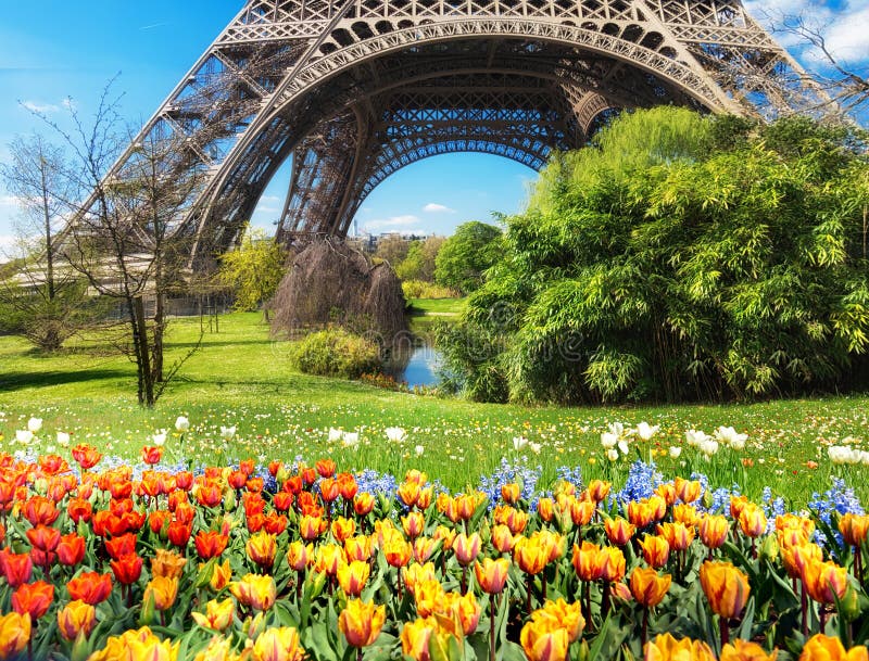 Paris, Eiffel Tower on a Bright Day in Spring with Flowers Stock Photo ...