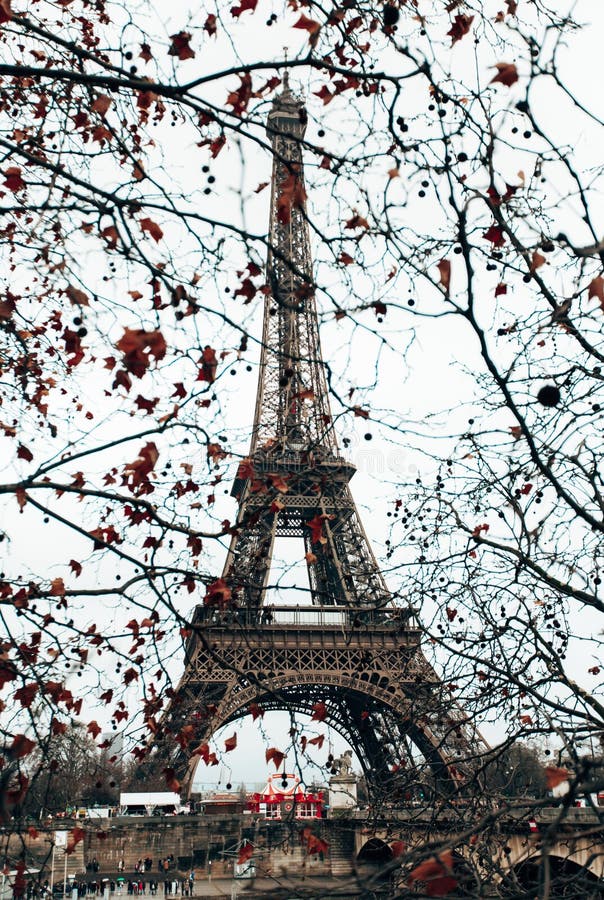 Paris, Eiffel Tower through Tree Branches in Cloudy Weather Stock Photo ...