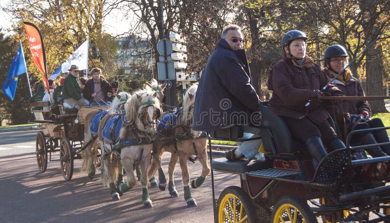 Paris horse parade editorial photo. Image of paris, relay - 27876486