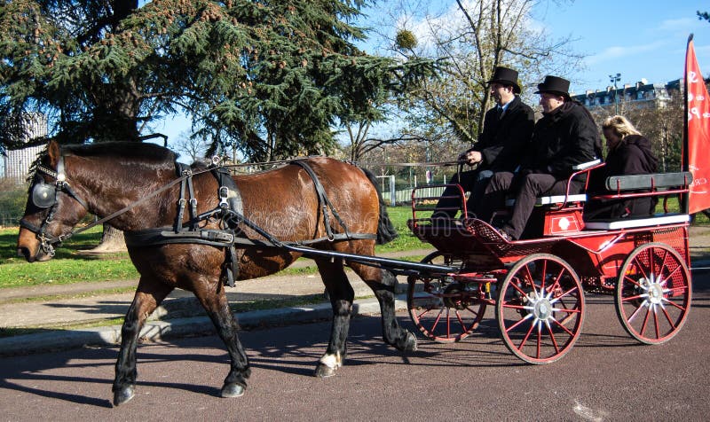 Paris horse parade editorial photo. Image of leisure - 27876576