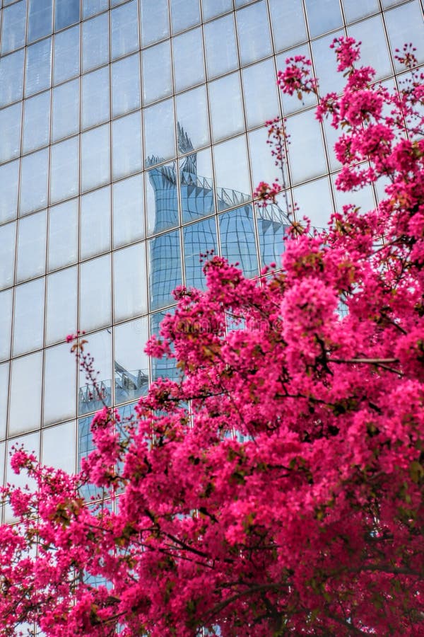 Paris La Defense with Spring Tree in France Stock Image - Image of ...