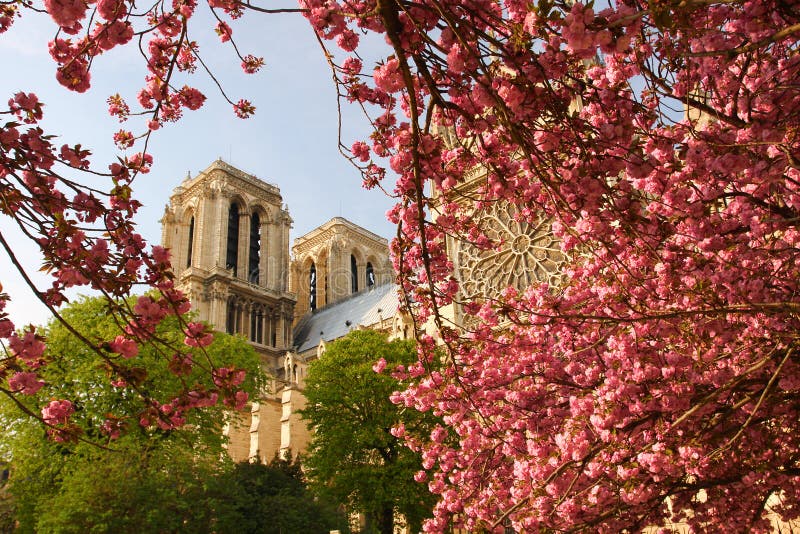 Paris, Notre Dame Cathedral in Spring Time Stock Image - Image of paris ...