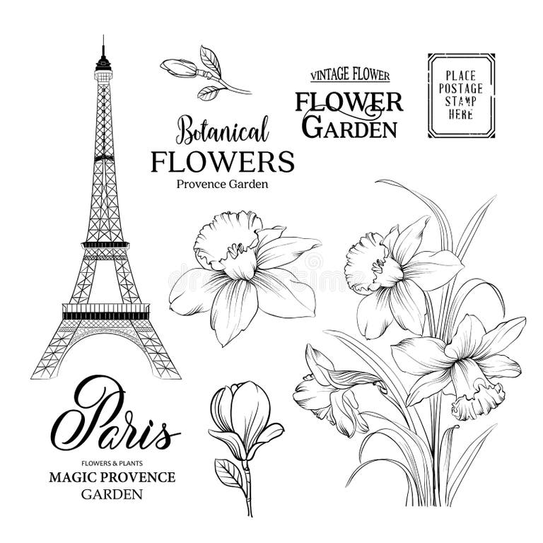 Paris Tour Elements Stock Illustrations – 663 Paris Tour Elements Stock ...