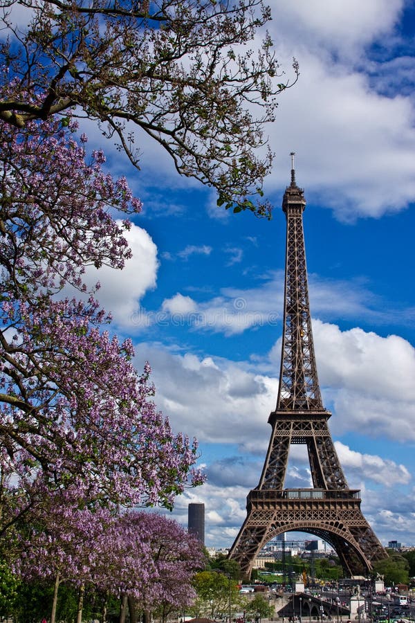 Paris S Eiffel Tower in the Spring Stock Image - Image of travel ...