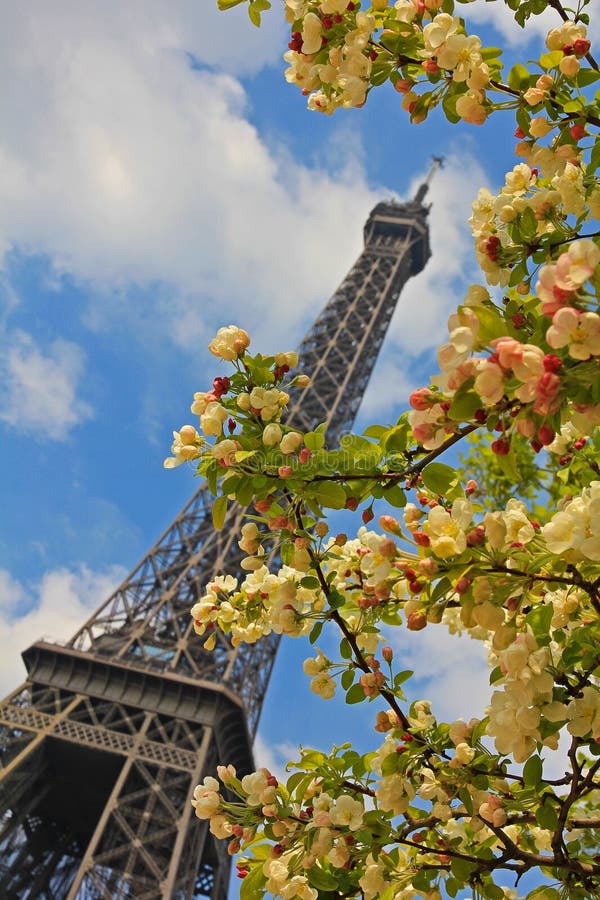Paris in the Spring stock photo. Image of europe, tower - 18934970