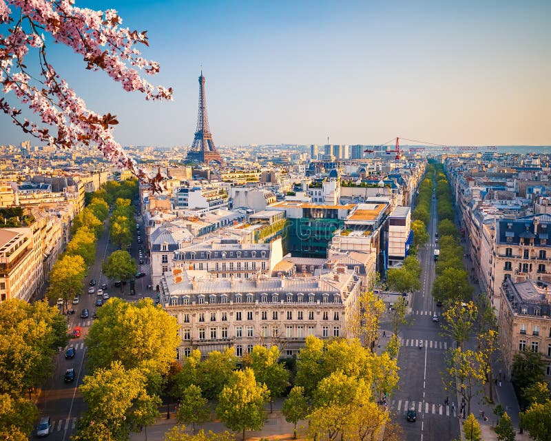 11,021,113 Spring Stock Photos - Free & Royalty-Free Stock Photos from ...