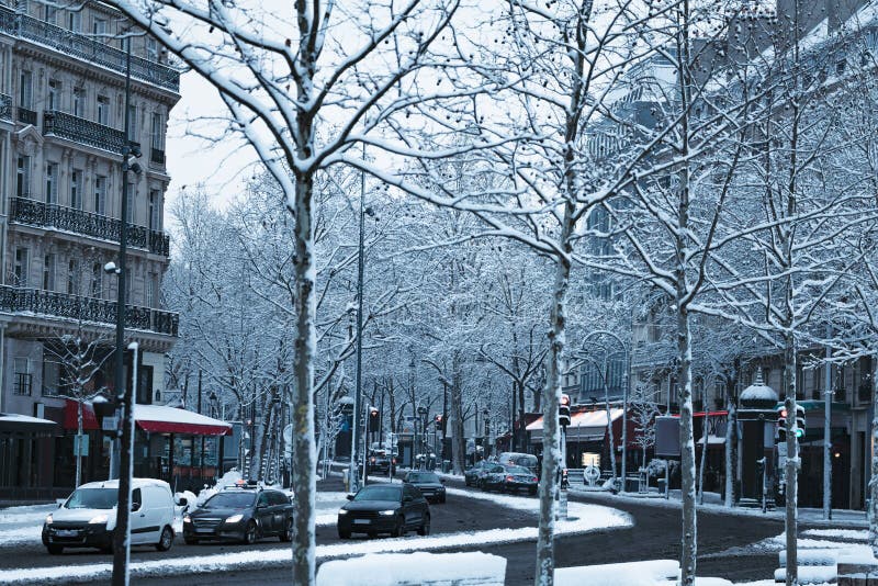 Paris, Trees Along the River Seine Stock Image - Image of tourist ...