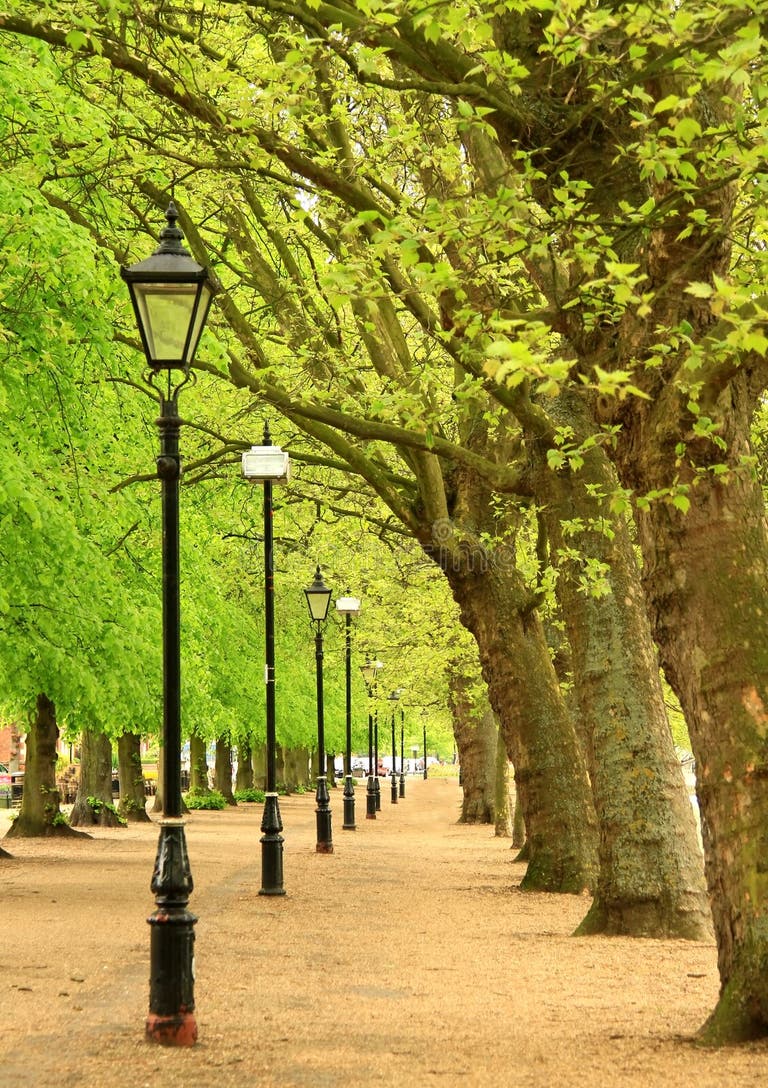 179 1 Forest Park Lane Stock Photos - Free & Royalty-Free Stock Photos ...