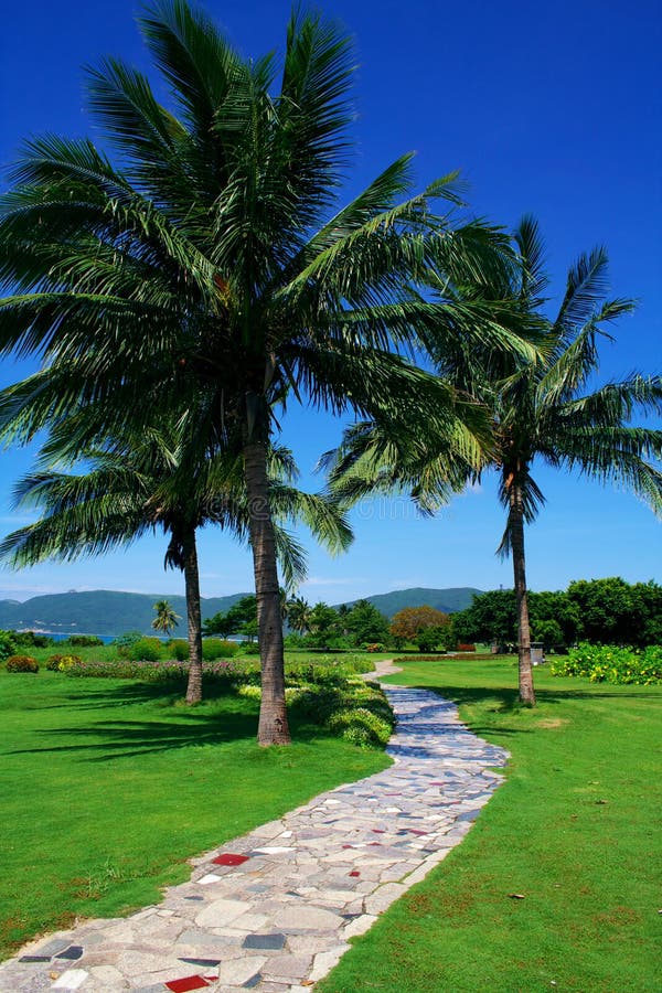 Park stock image. Image of grassland, tree, seasonal - 10250909