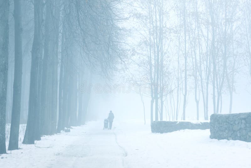 Park stock photo. Image of season, nature, mist, park - 12394852