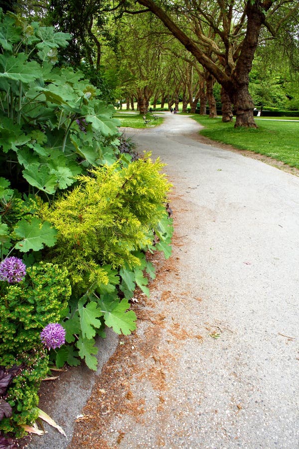 Park stock image. Image of trees, park, pathway, path - 5384907