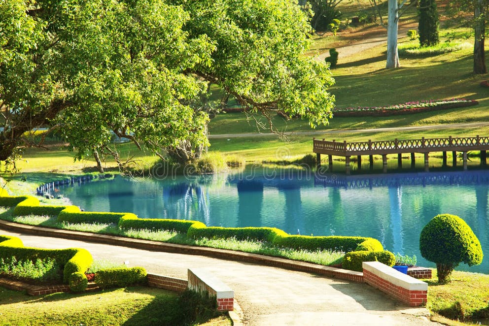 Park stock image. Image of nature, flores, park, spring - 54184449