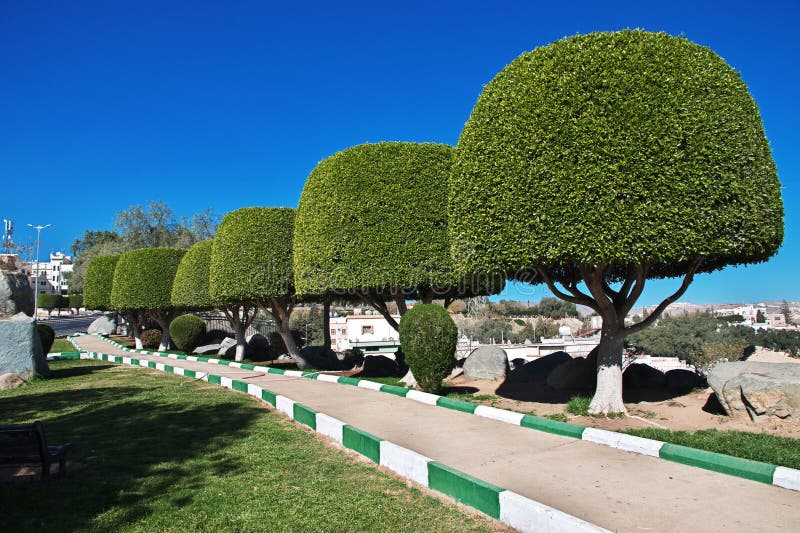 The Park in Abha City, Saudi Arabia Stock Image - Image of arabic, asir ...