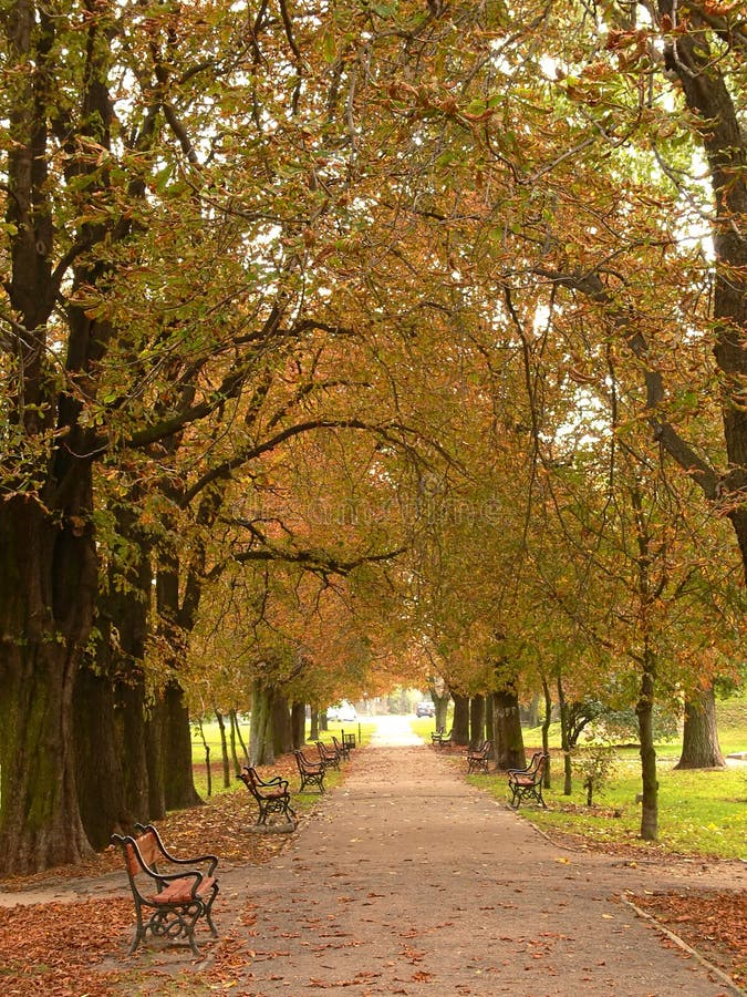 Park alley stock image. Image of foliage, colors, landscape - 1331255