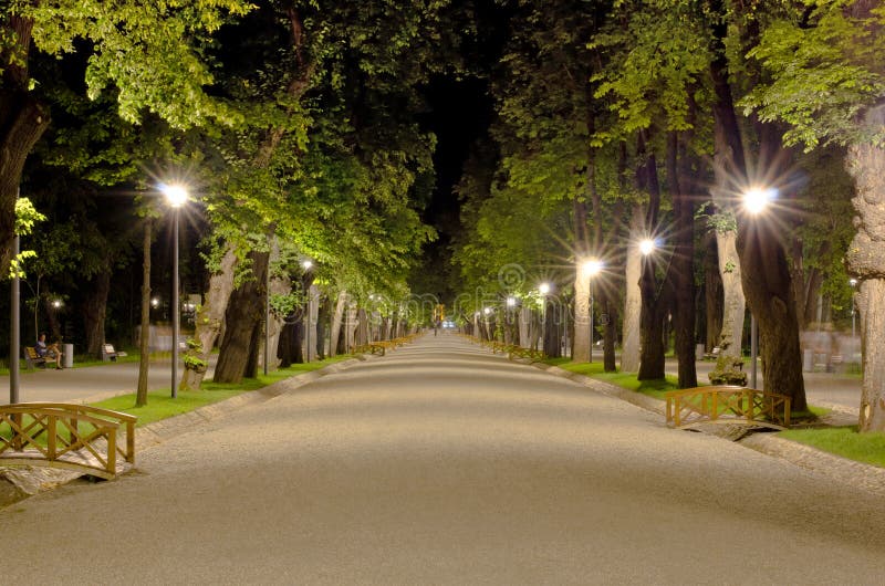 Night alley stock photo. Image of background, garden - 40053150