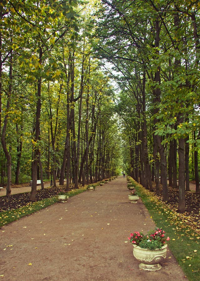 Park alley stock image. Image of colorful, pathway, alley - 26749397