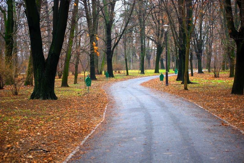 Park alley stock photo. Image of outdoors, carpet, green - 7927148