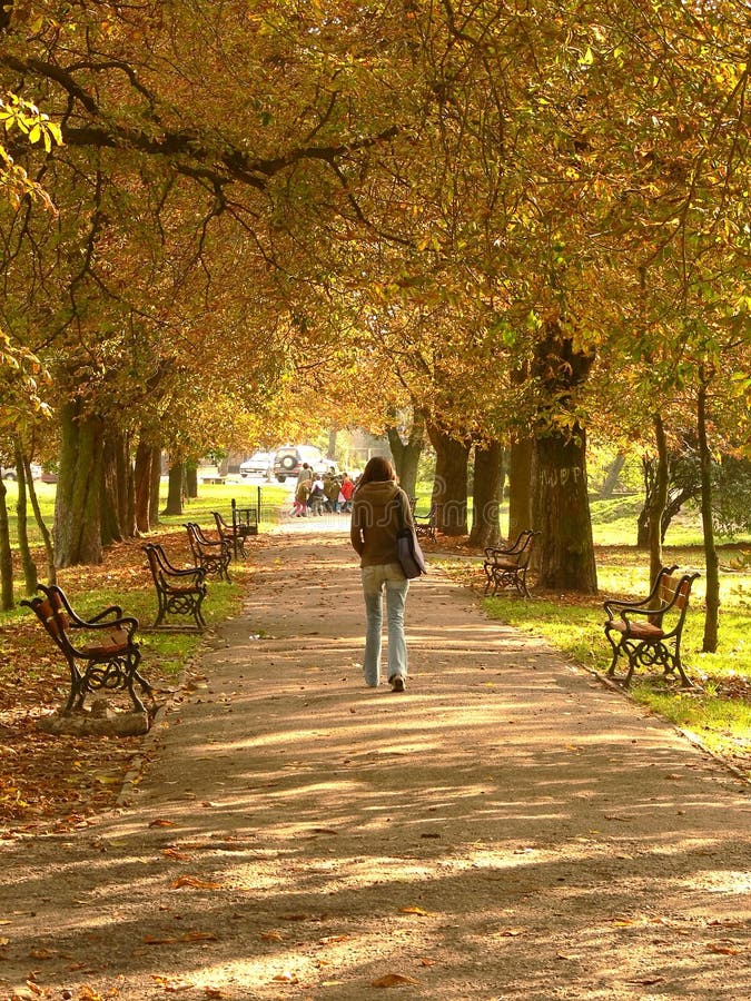 Park alley stock photo. Image of leisure, relax, daylight - 27124762