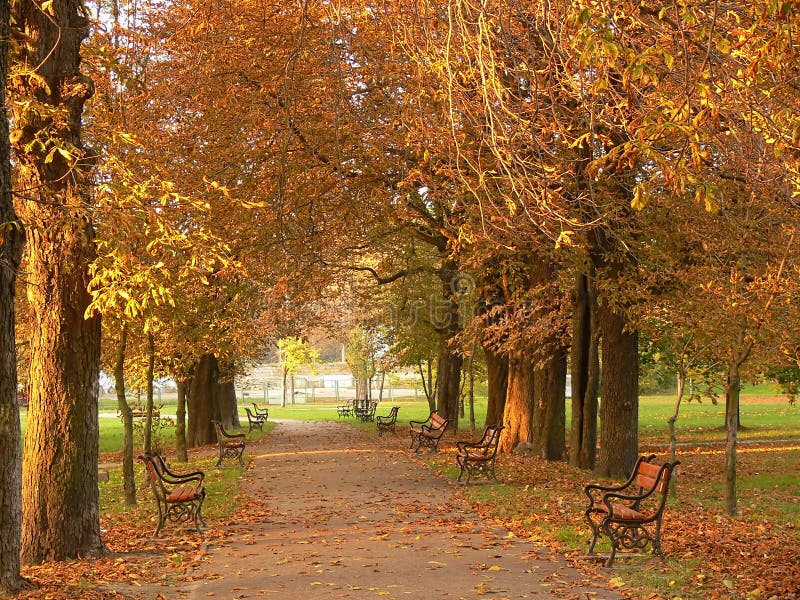 Park alley in autumn stock photo. Image of branches, colours - 1396022