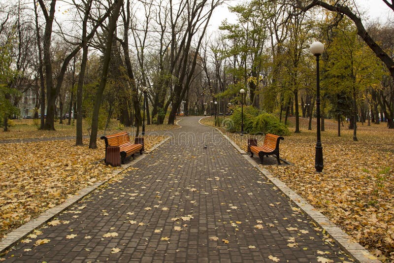 Park alley stock photo. Image of nature, light, leaves - 34797986